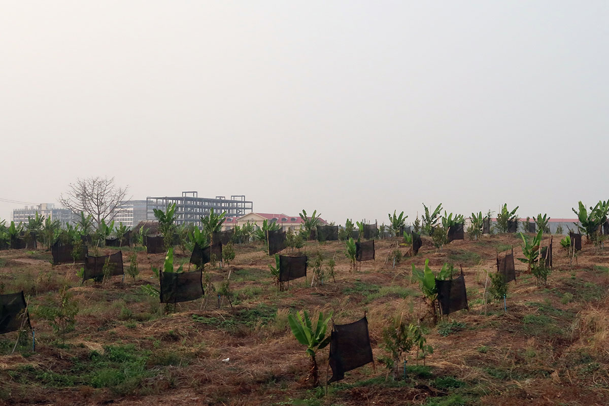 Site Visit, Thailand, 2023 (Gallery, Design for Conservation)