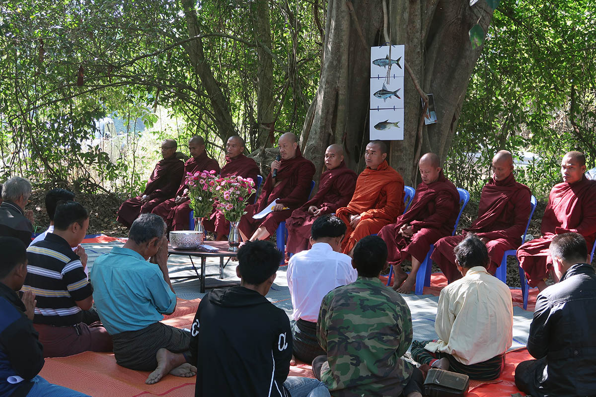 2017 (Gallery, Design for Conservation)