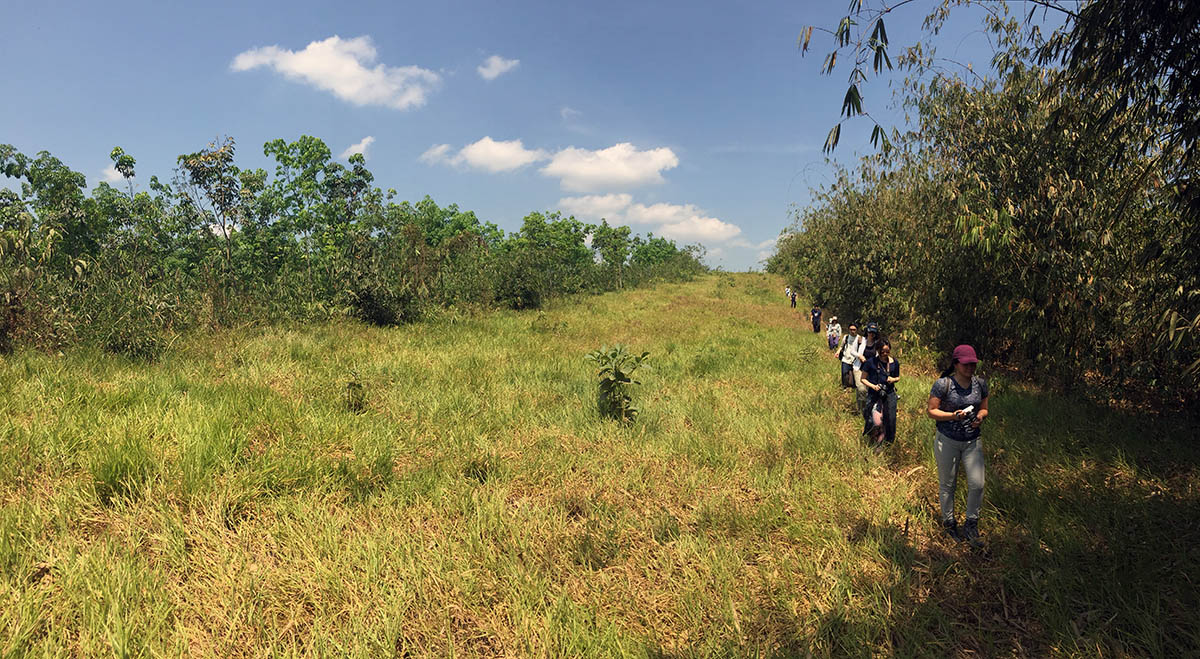 Experiential Learning, Myanmar (Gallery, Design for Conservation)
