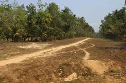 Myanmar, Site Visit, 2015 (Gallery, Design for Conservation)